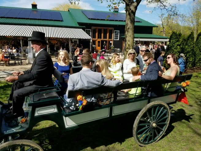 carriage-ride-big-catholic-family – This Catholic Family: Catholic ...